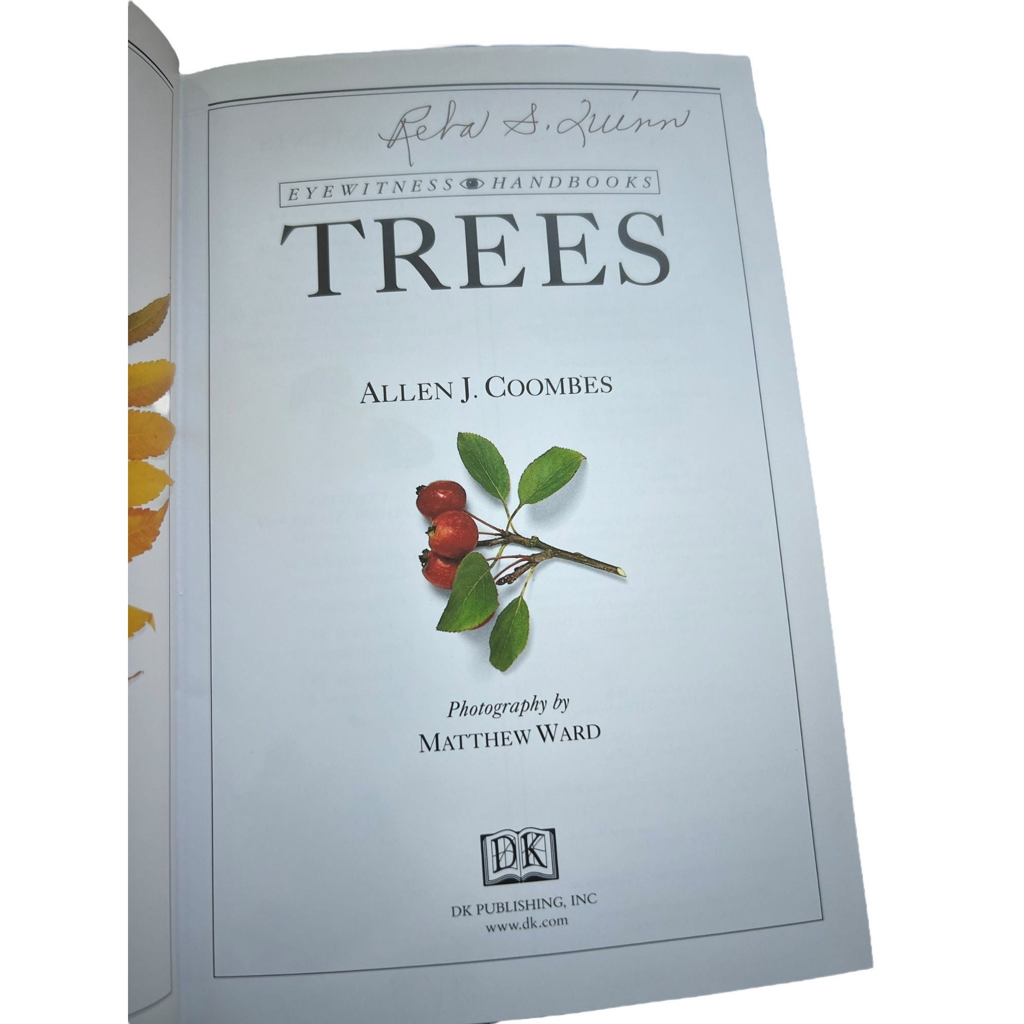 Vintage 1992 DK Eyewitness Trees Handbook Book Allen J Coombs - Etsy