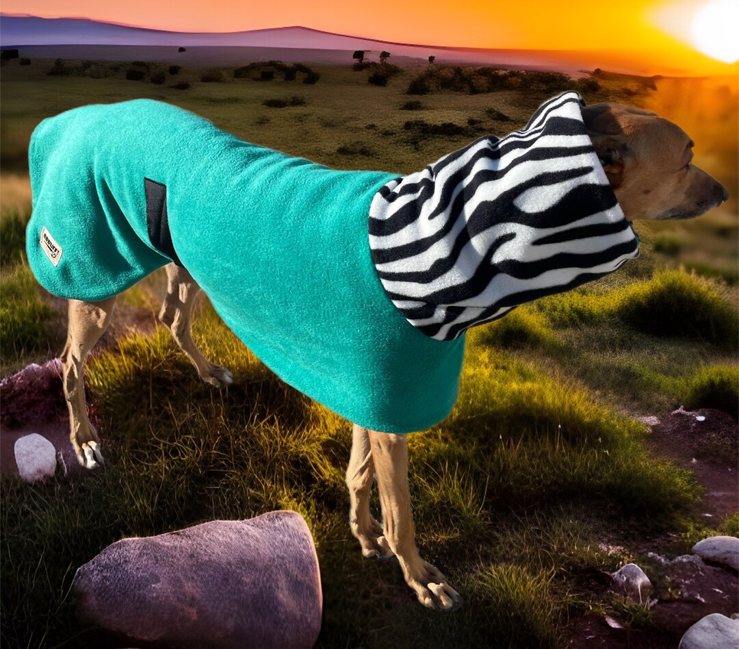 Greyhound Coat Deluxe Style Emerald Green With Zebra Print Very Wide ...