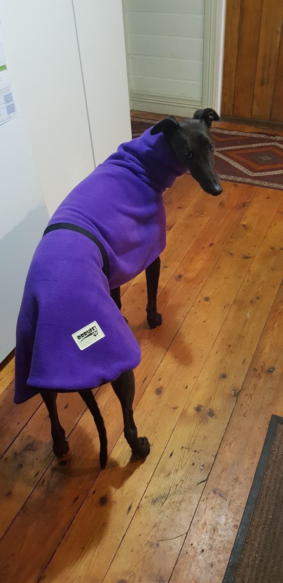 Purple Greyhound deluxe coat extra thick polar fleece machine | Etsy
