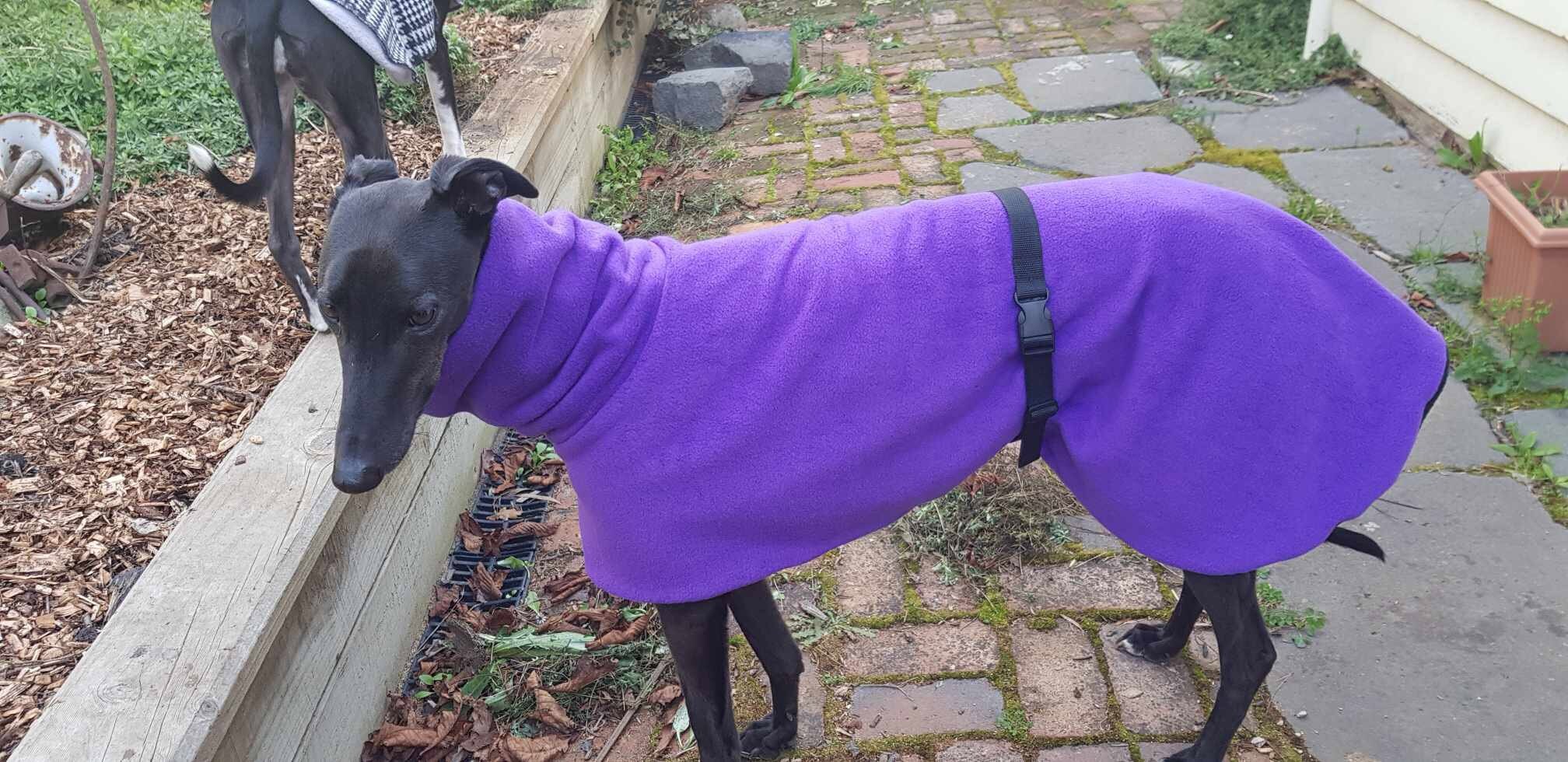 Purple Greyhound deluxe coat extra thick polar fleece machine | Etsy