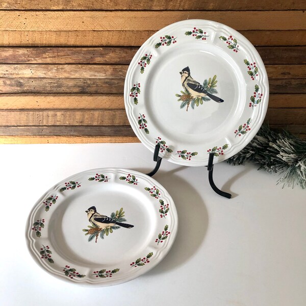 Bird Plates - Etsy