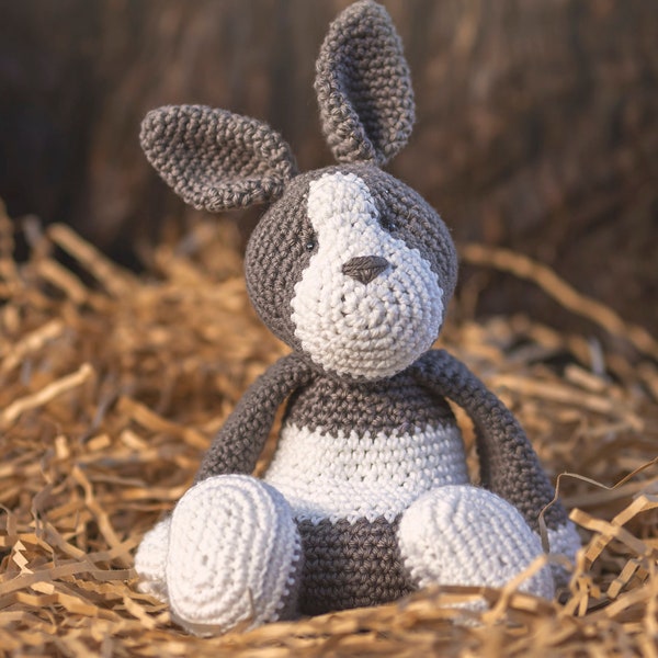 Dutch Bunny - Etsy