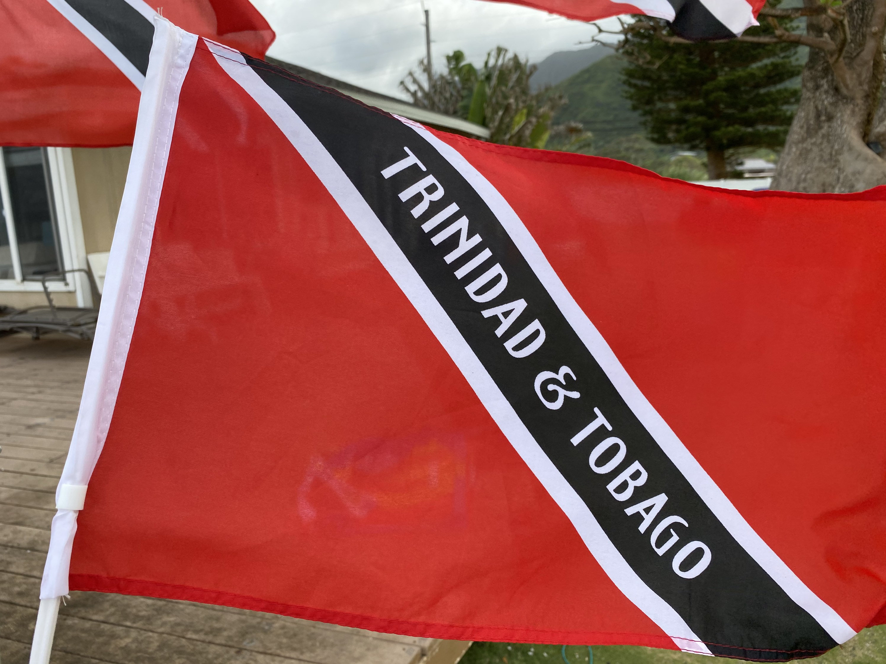 Trinidad and Tobago Flag | Etsy
