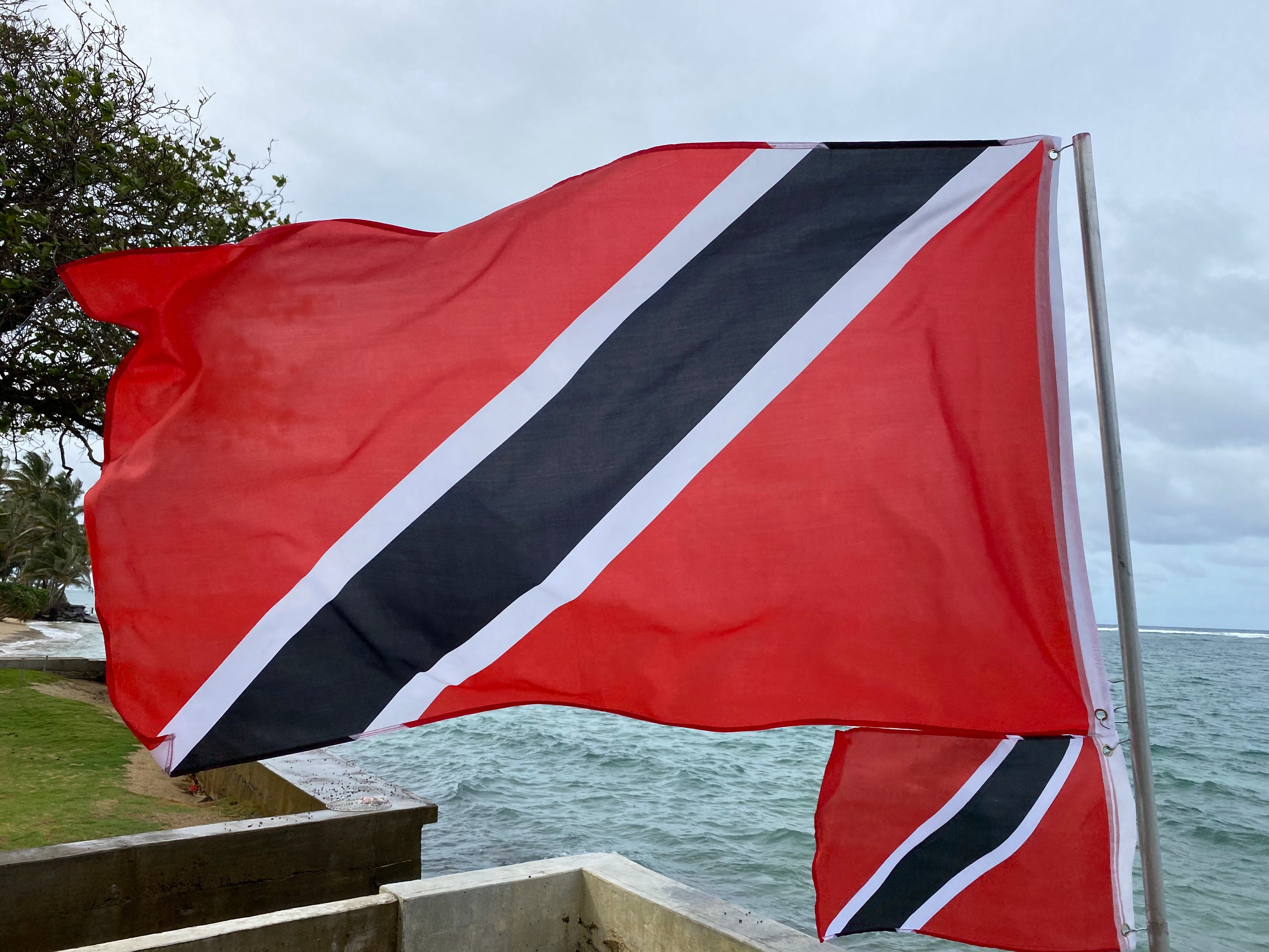 Trinidad and Tobago Flag | Etsy