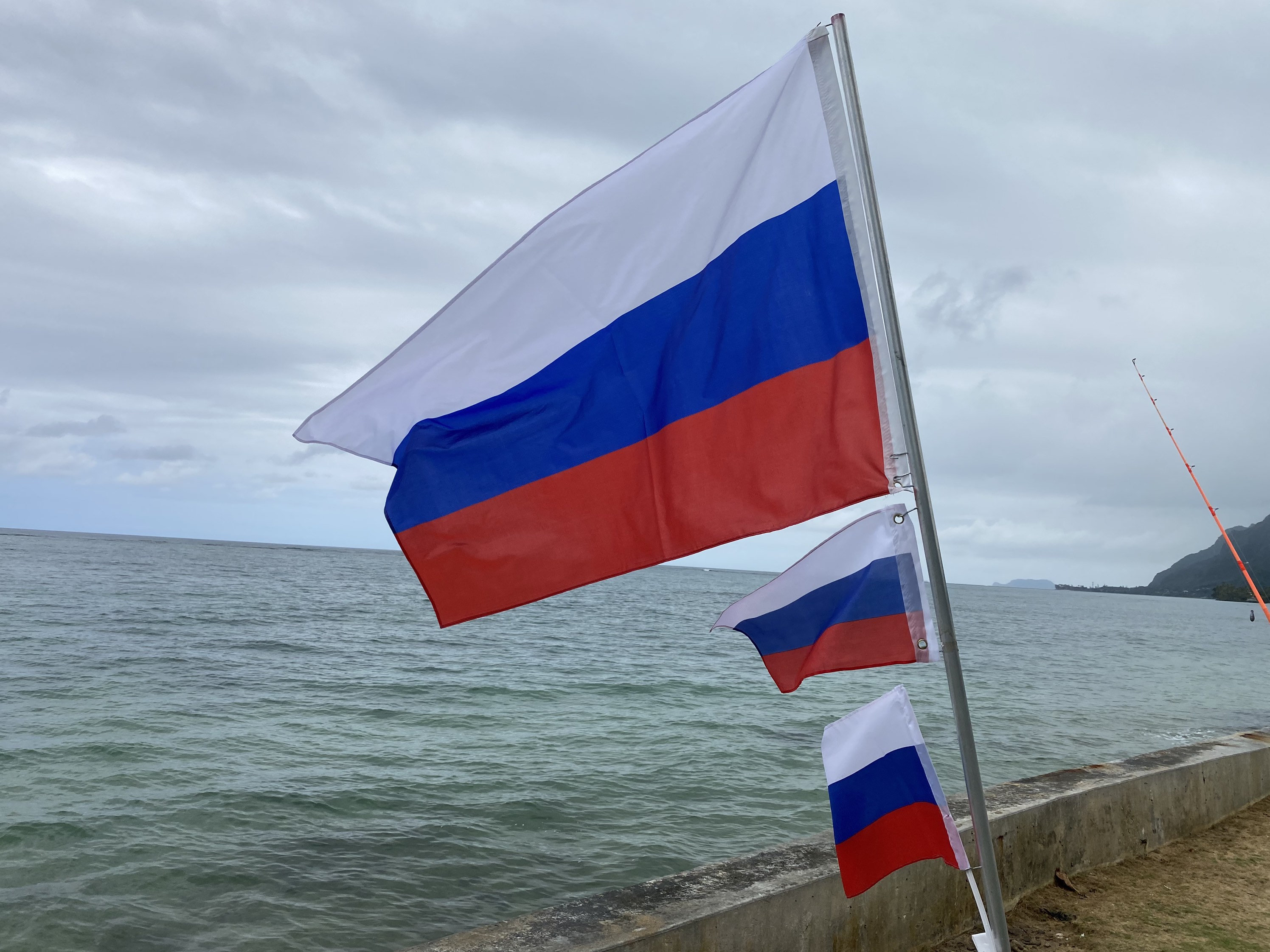 Russian Federation Flag | Etsy