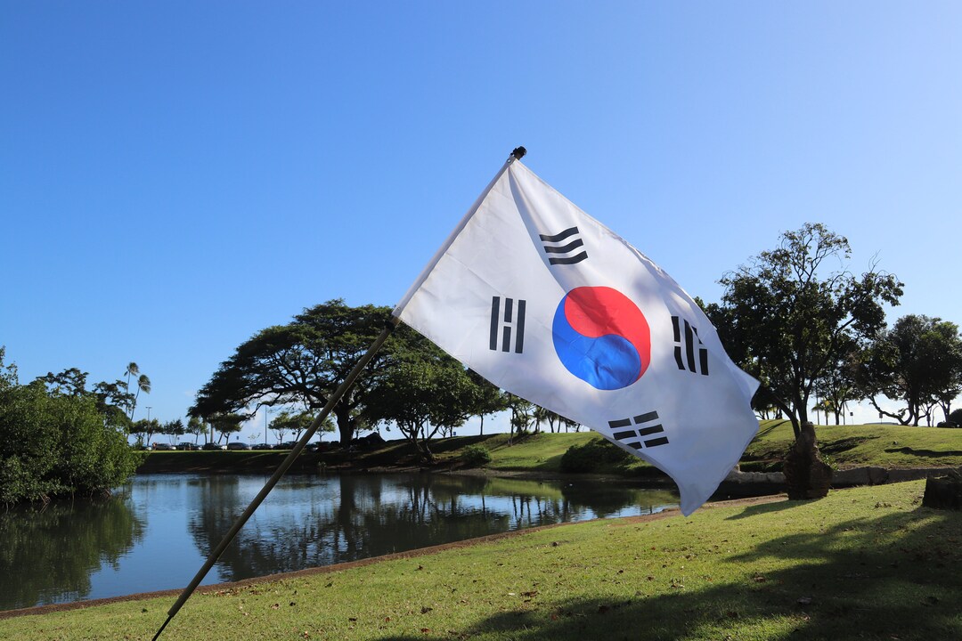 South Korea Flag, South Korean Flag, Korea Flag, Korean Flag - Etsy