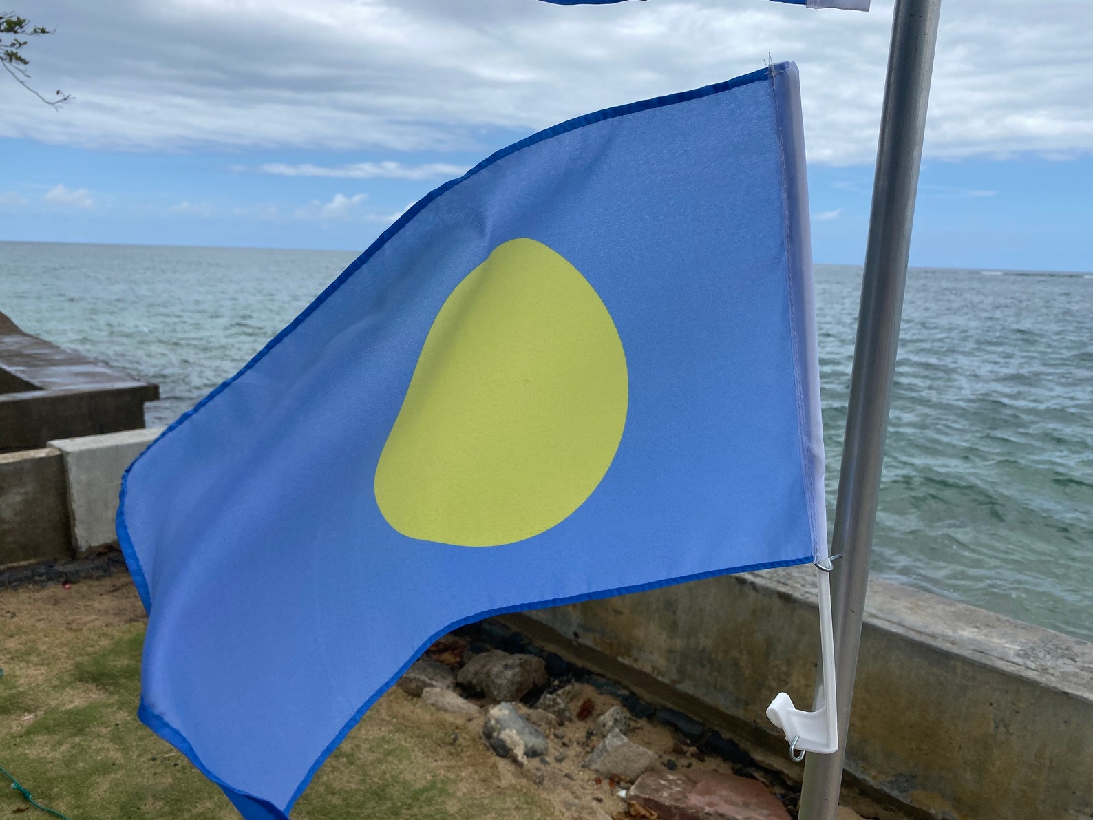 Palau Flag - Etsy