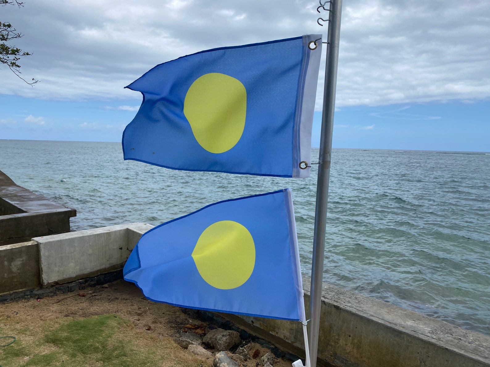 Palau Flag - Etsy