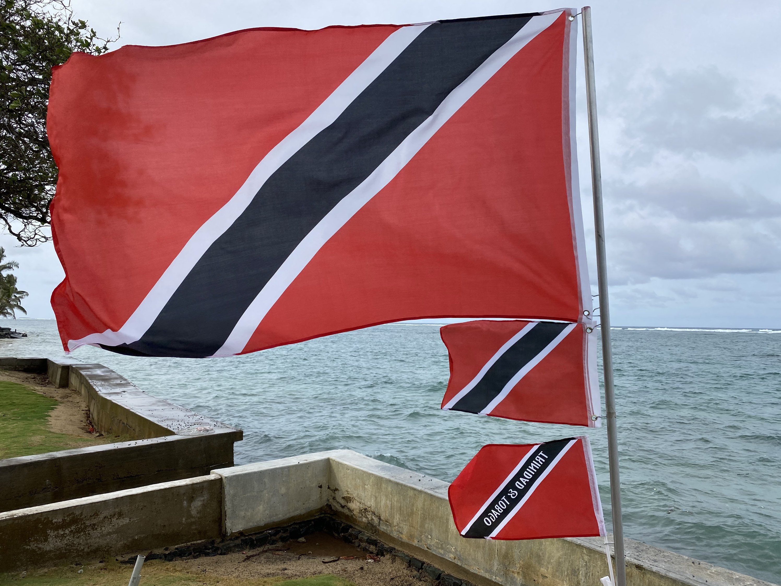 Trinidad and Tobago Flag | Etsy