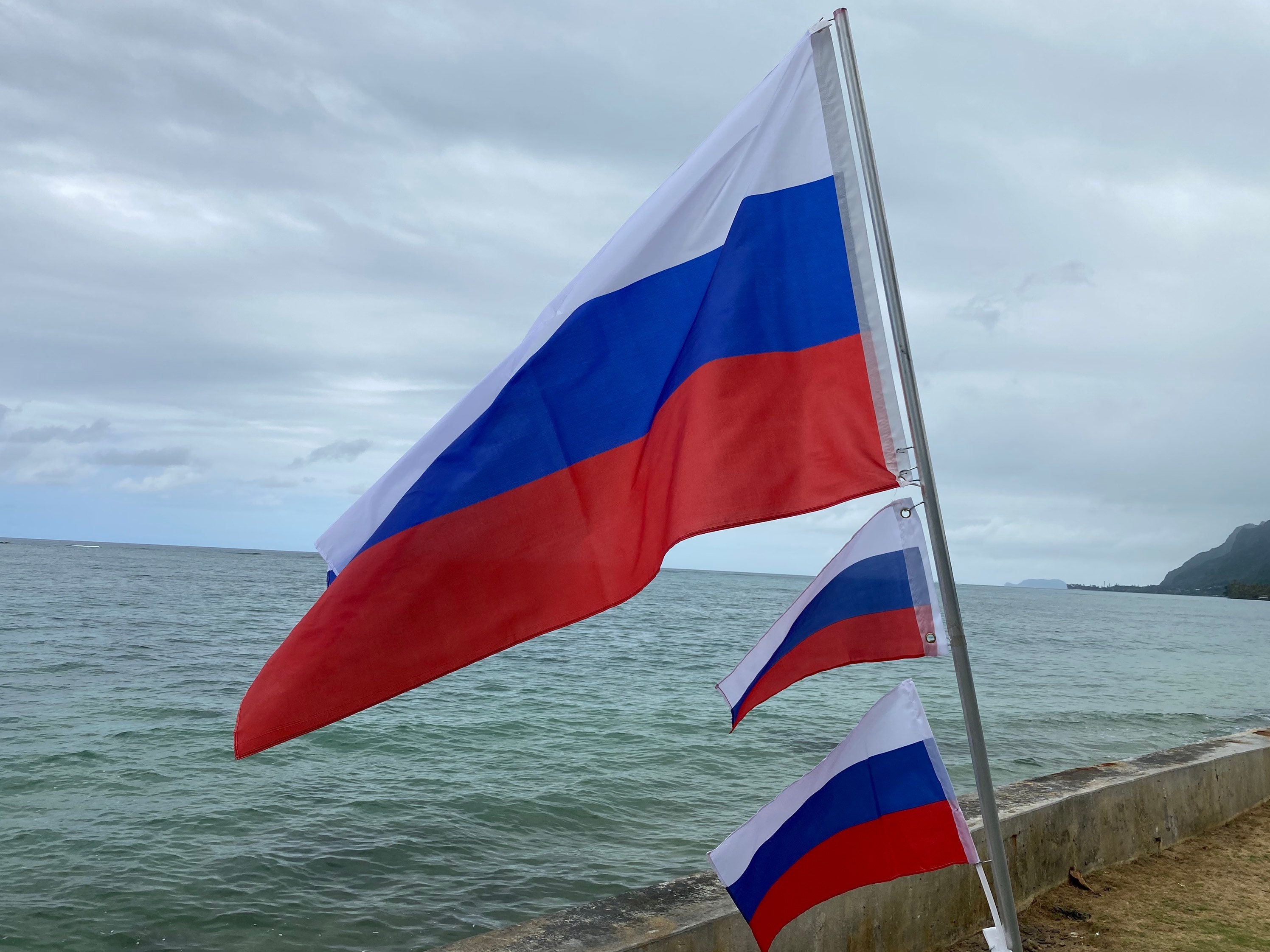 Russian Federation Flag | Etsy