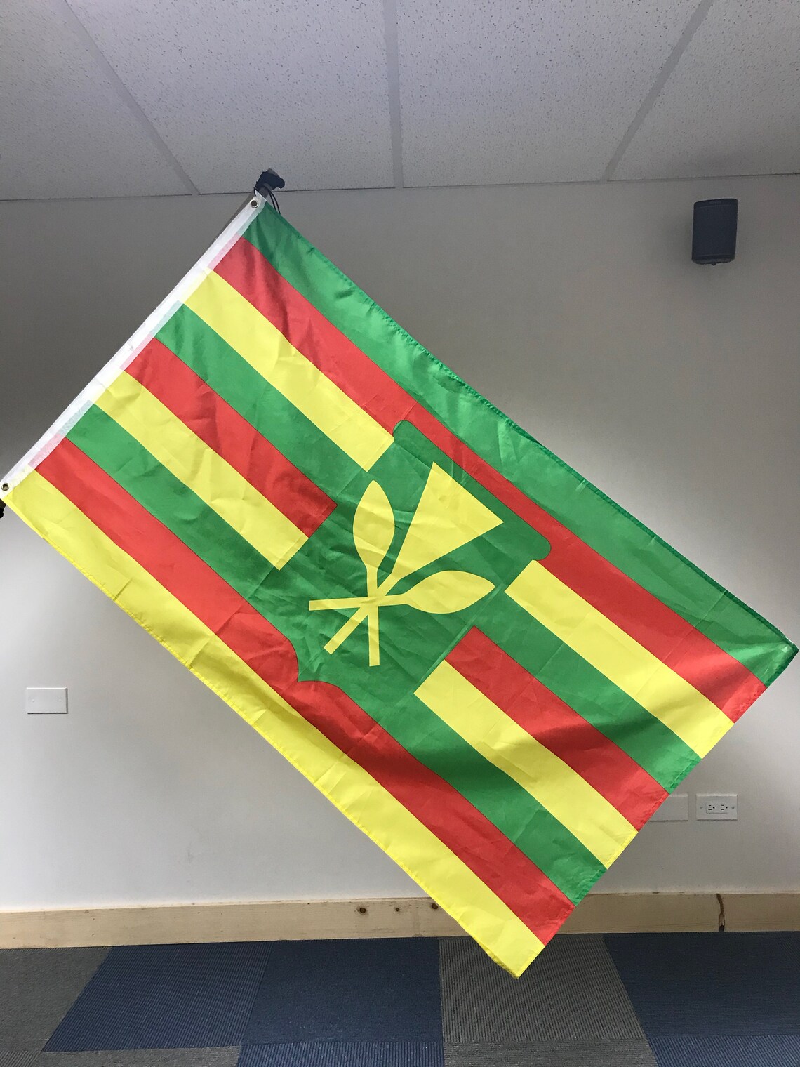 Kanaka Maoli Hawaiian Flag Hawaii Flag Reggae Hawaii Flag - Etsy