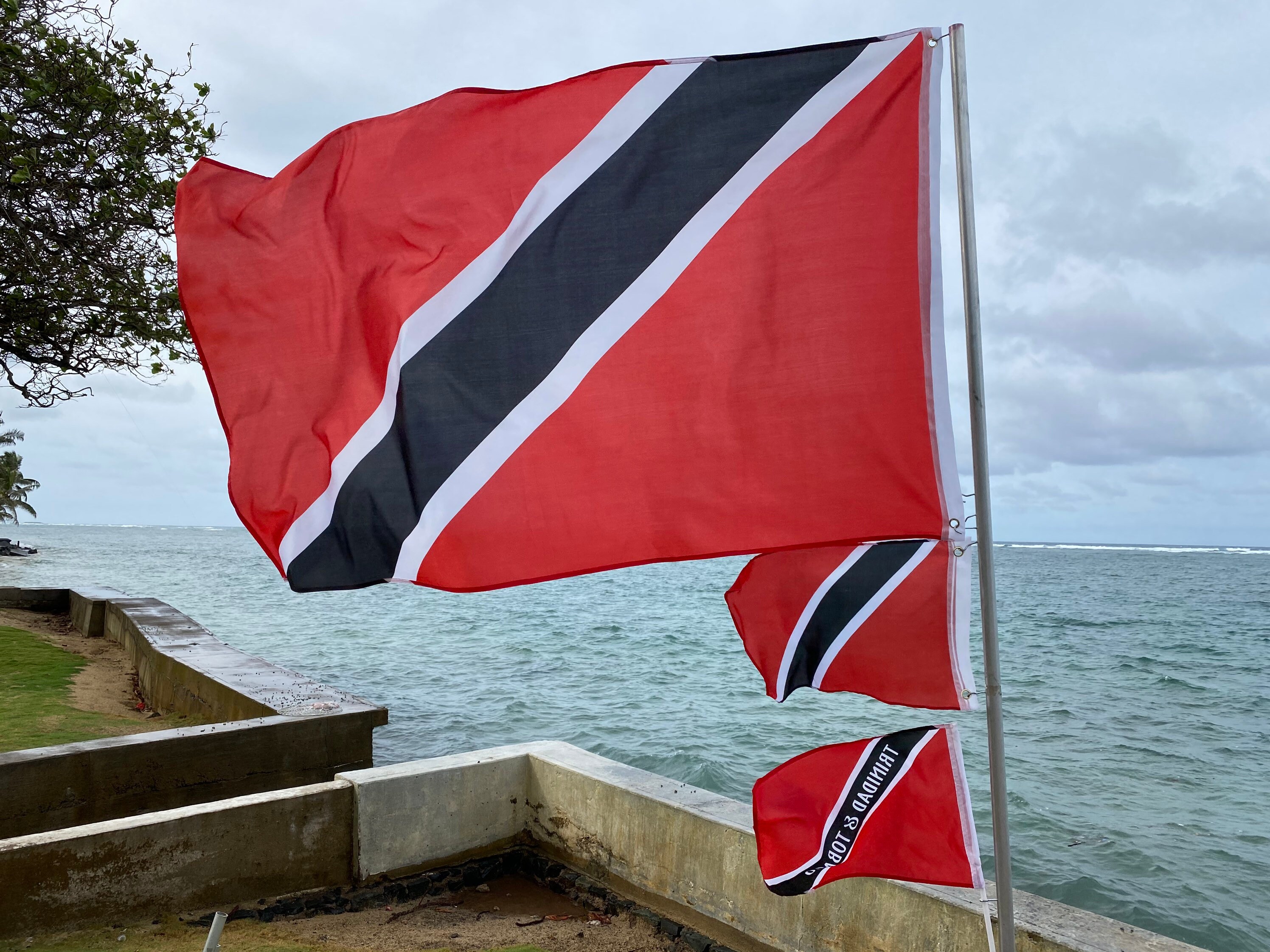 Trinidad and Tobago Flag | Etsy