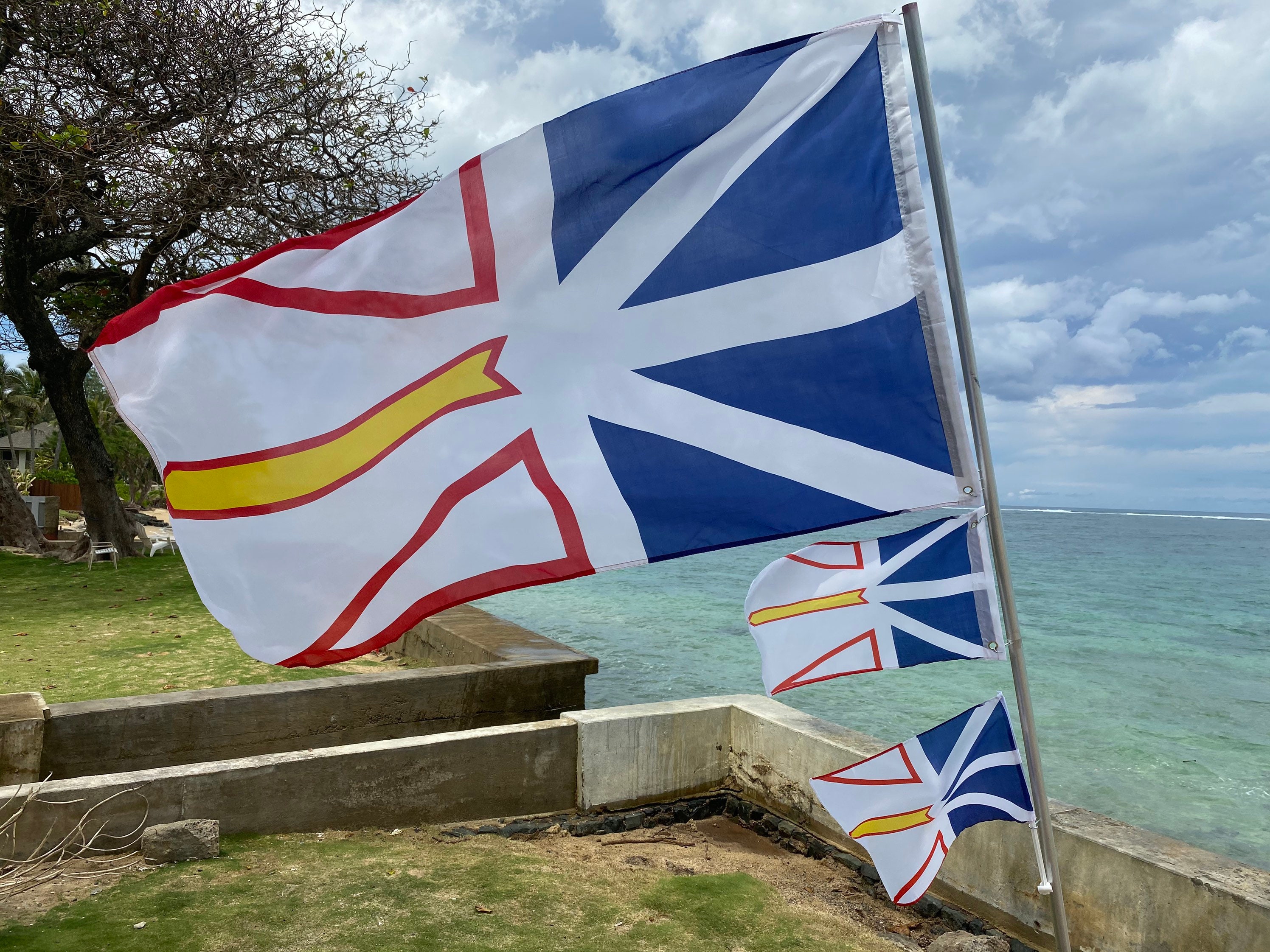 Newfoundland and Labrador Flag - Etsy