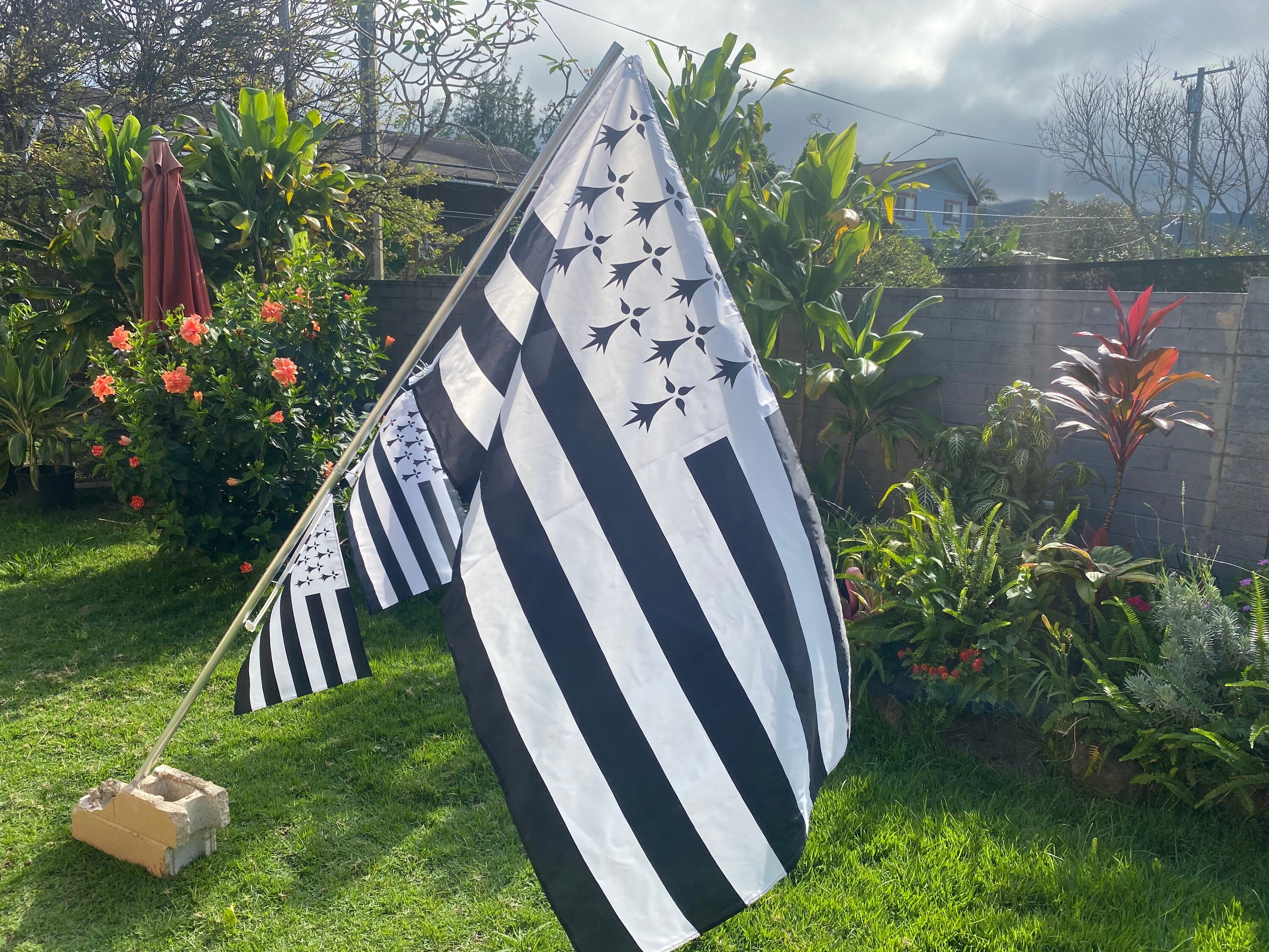 Brittany Flag - Etsy