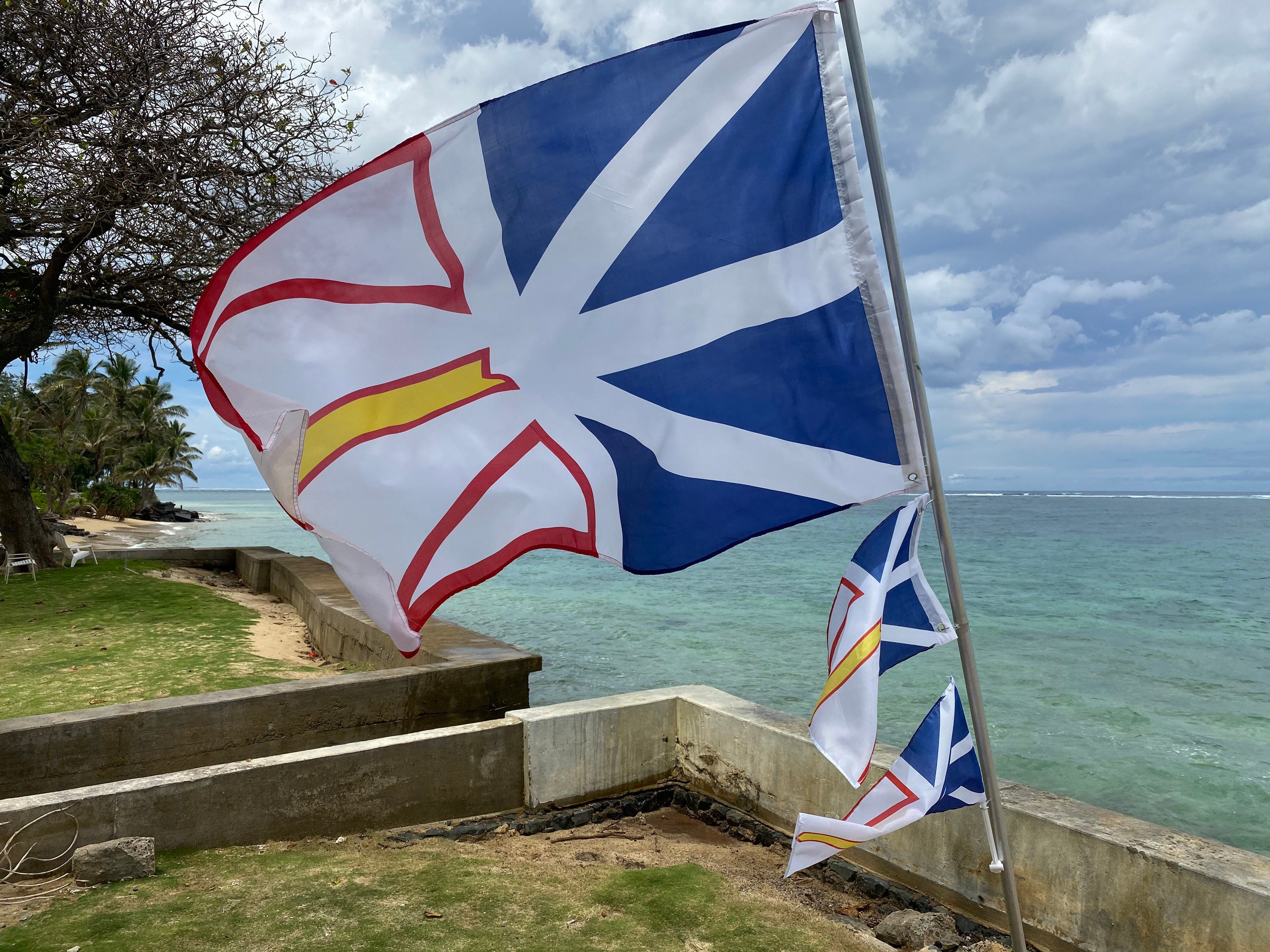 Newfoundland and Labrador Flag - Etsy