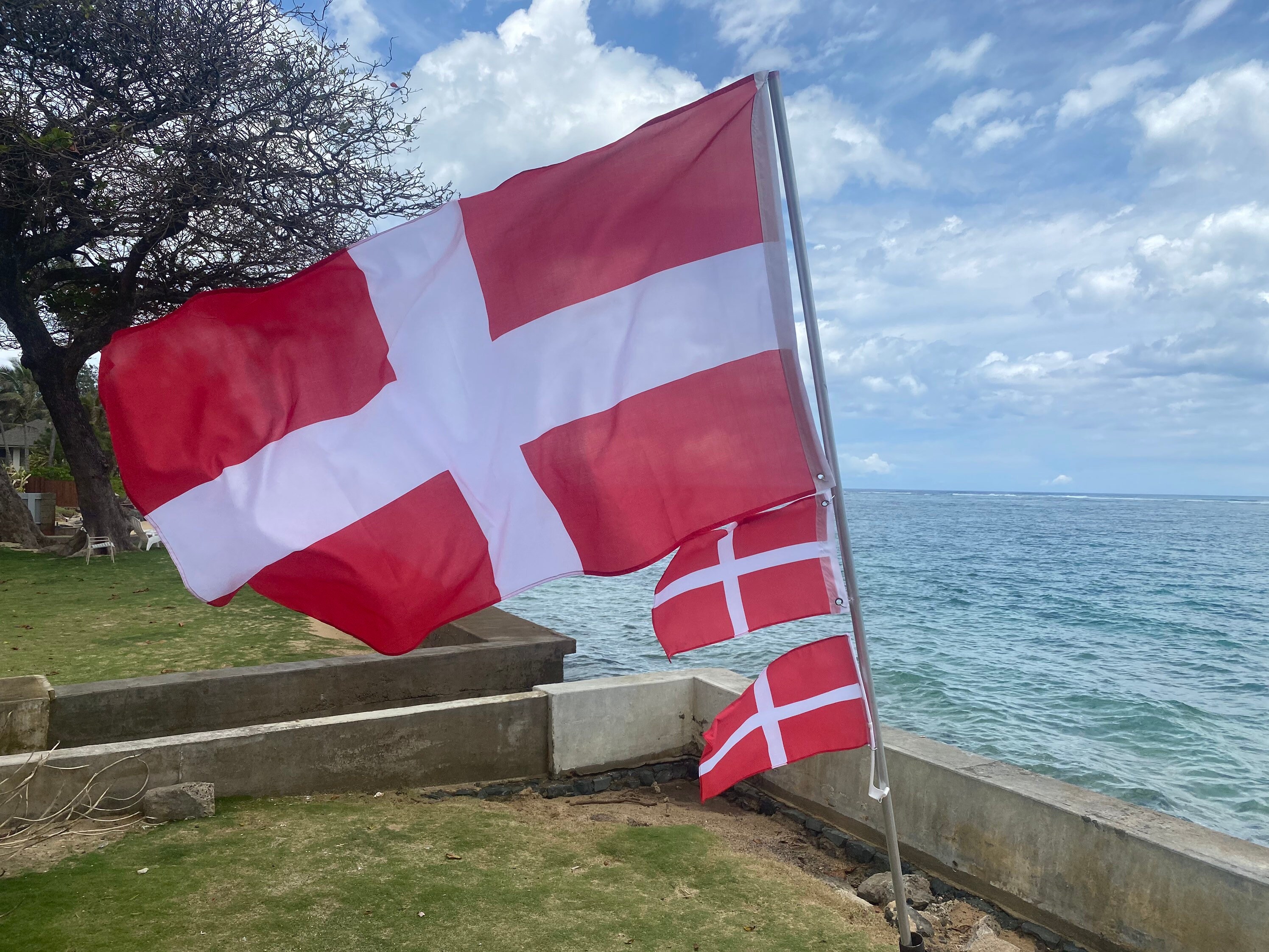 Sovereign military of Malta Flag | Etsy