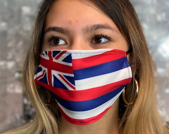 Hawaii State Flag | Etsy