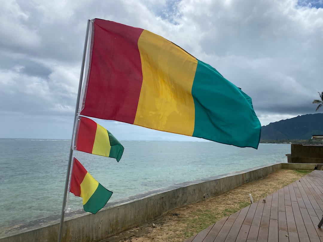 Guinea Flag, Conakry, Republic of Guinea - Etsy