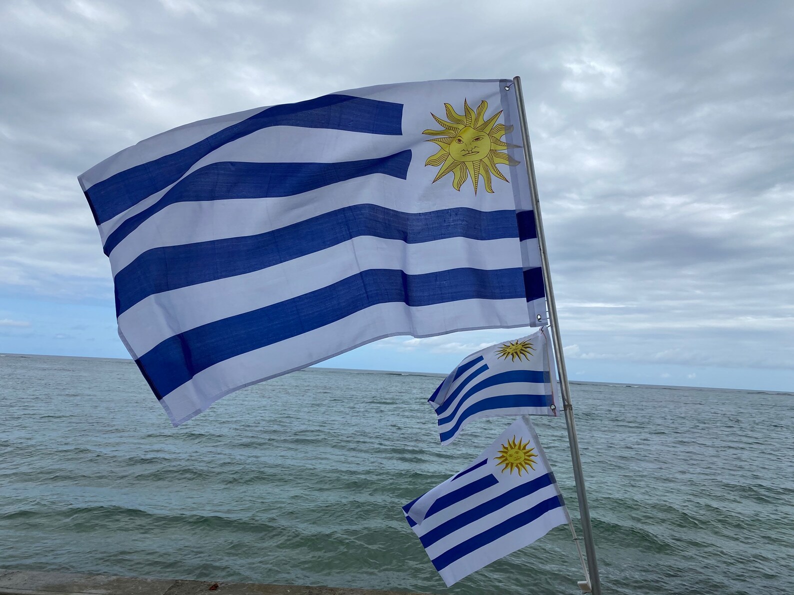 Uruguay Flag - Etsy