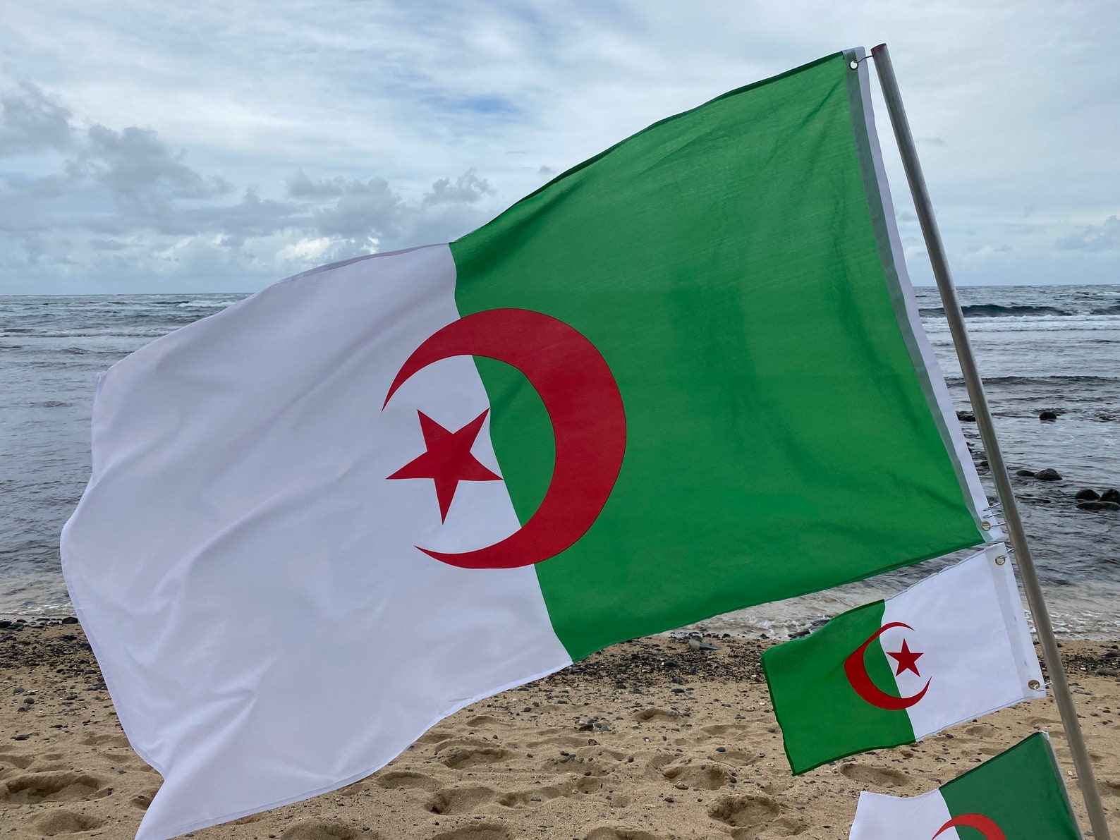 Algeria Flag - Etsy