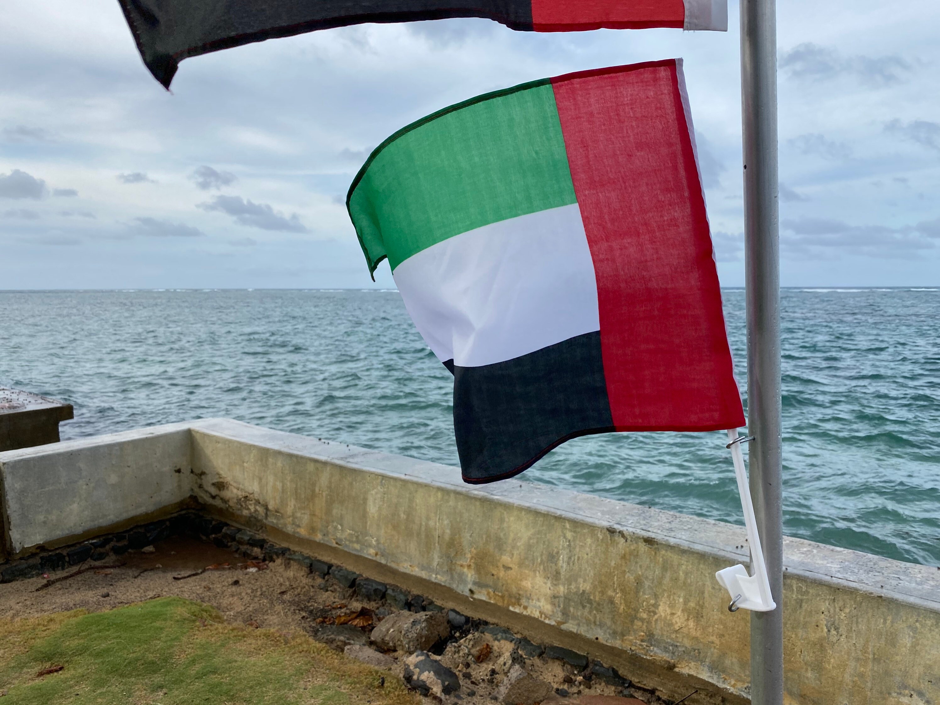 United Arab Emirates UAE Flag | Etsy