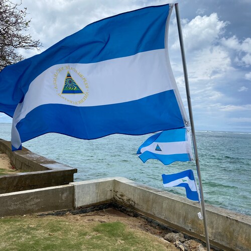 NICARAGUA FLAG PATCH Iron-on Embroidered Applique Top Quality - Etsy NICARAGUA FLAG PATCH Iron-on Embroidered Applique Top Quality - Etsy