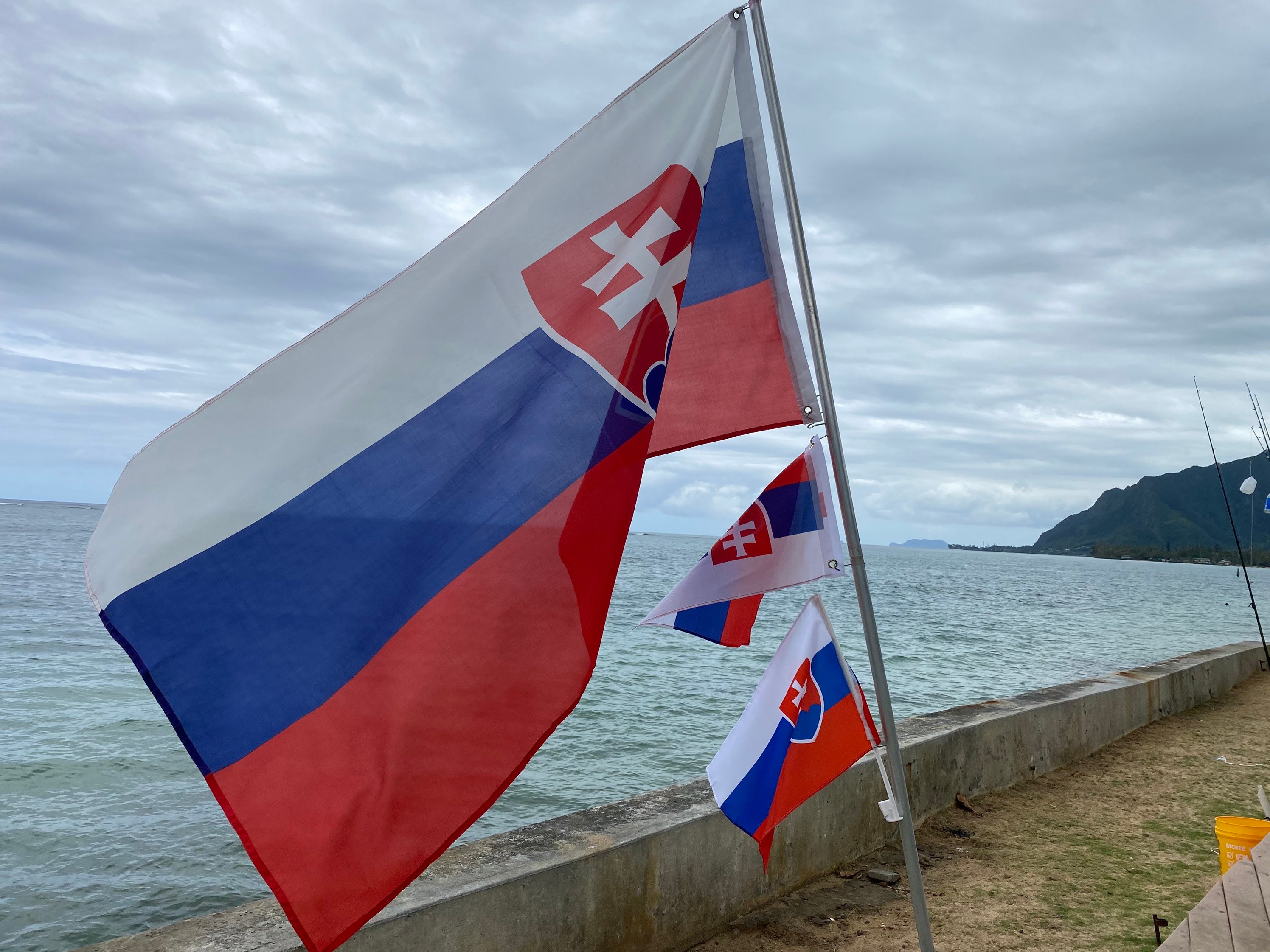 Slovakia Flag | Etsy