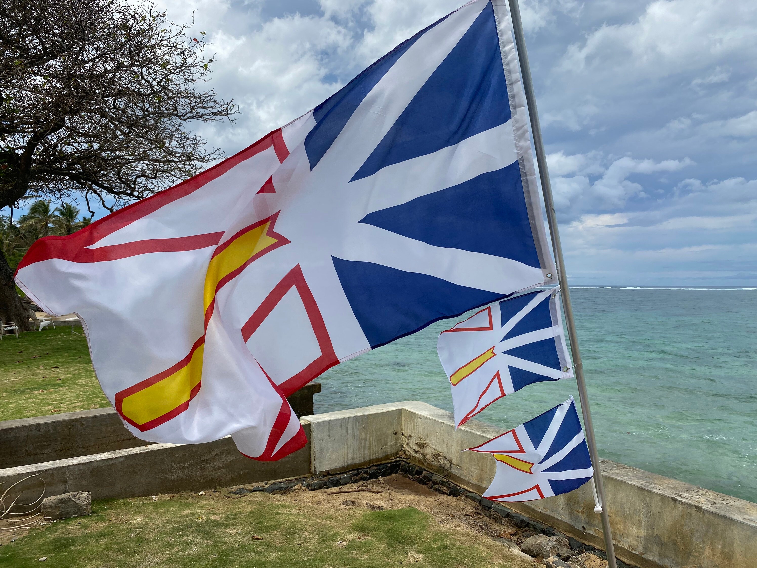 Newfoundland and Labrador Flag - Etsy