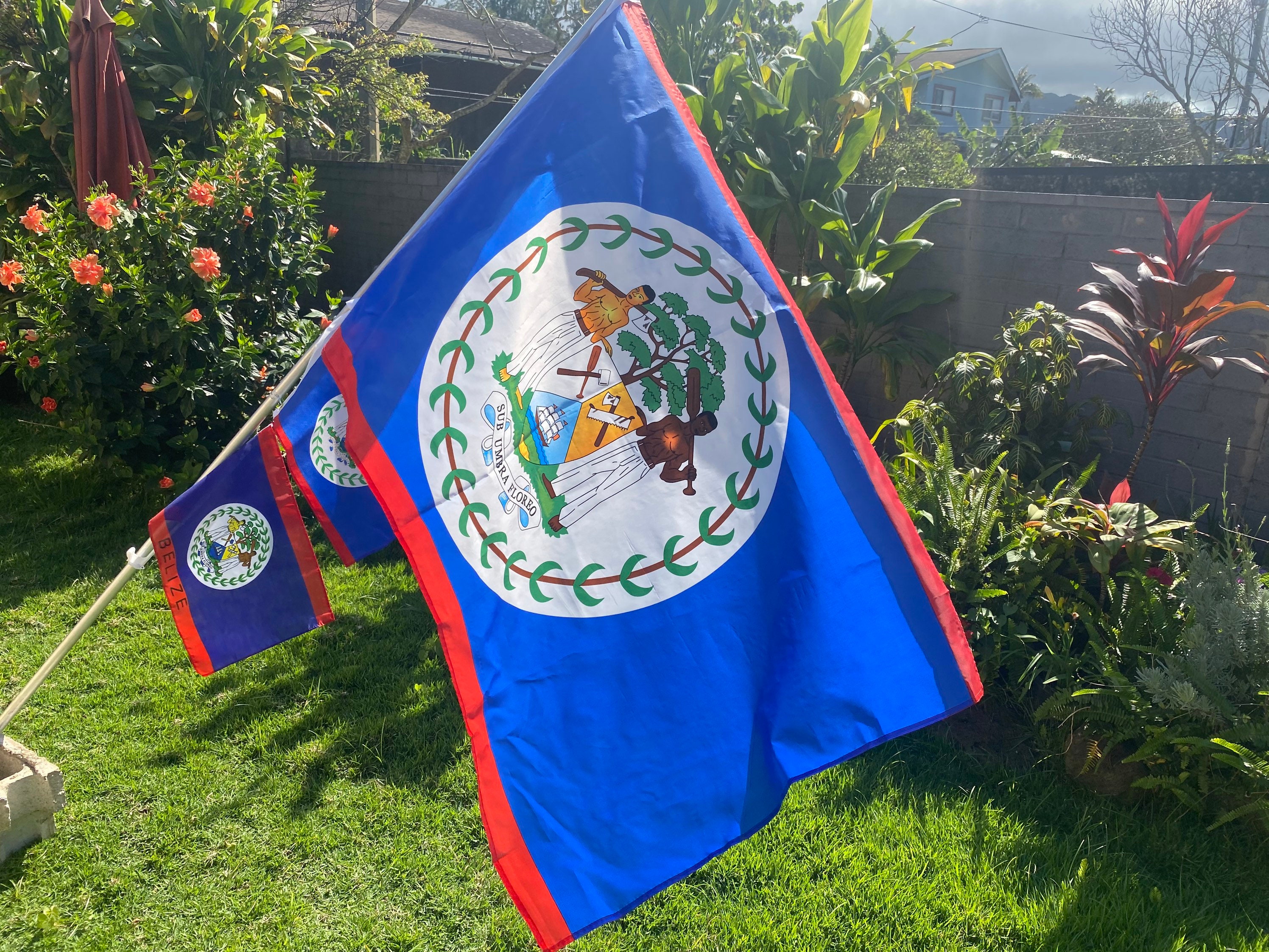 Belize Flag - Etsy