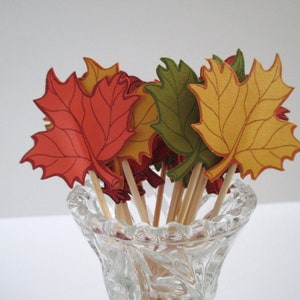 12 Maple Leaf - Party Picks - Food Picks - Cupcake Toppers ...