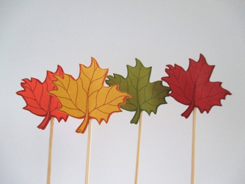 12 Maple Leaf Party Picks Food Picks Cupcake Toppers - Etsy