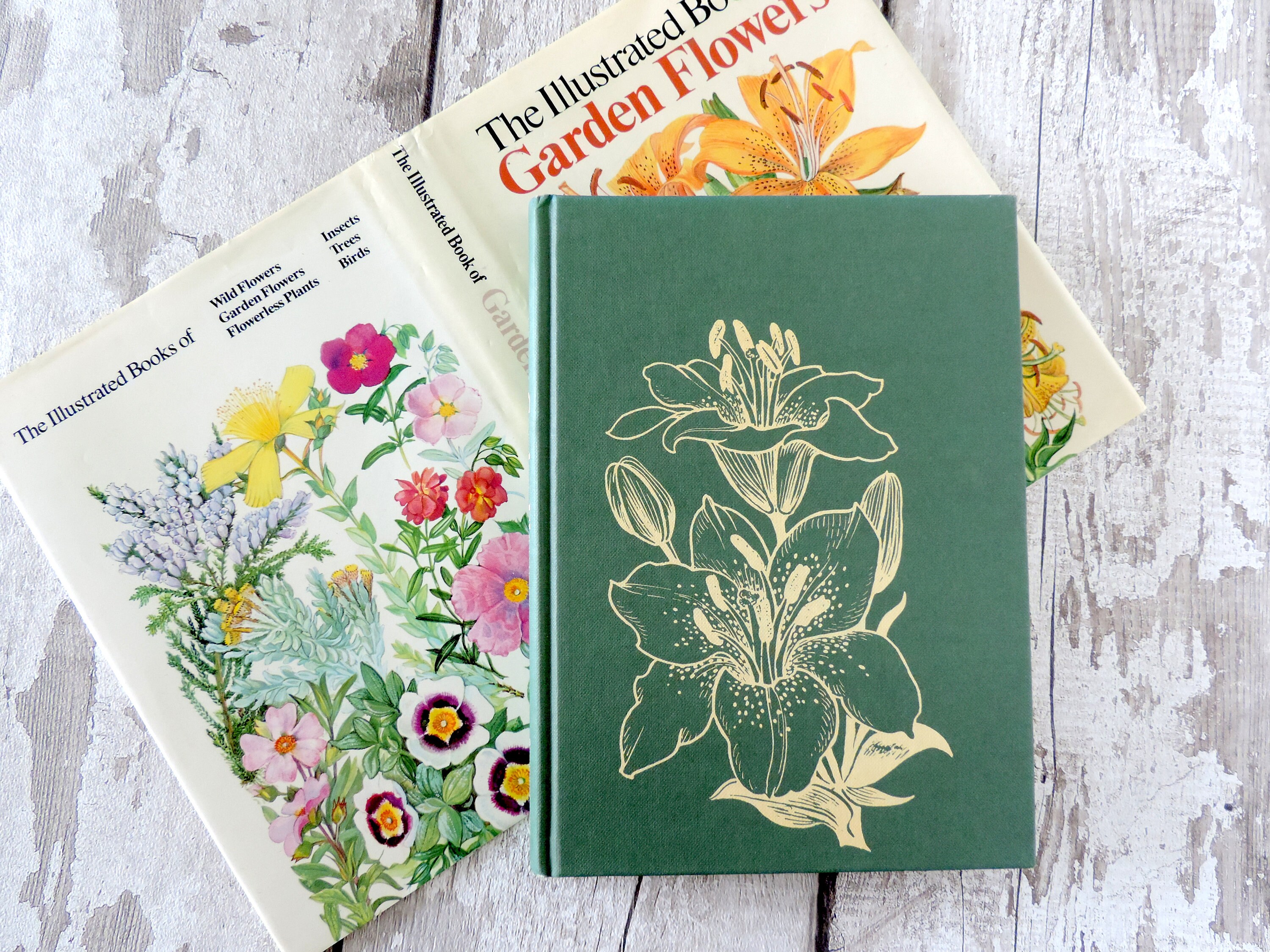 Vintage Books For Romance And Spring - Live Lovely Photography