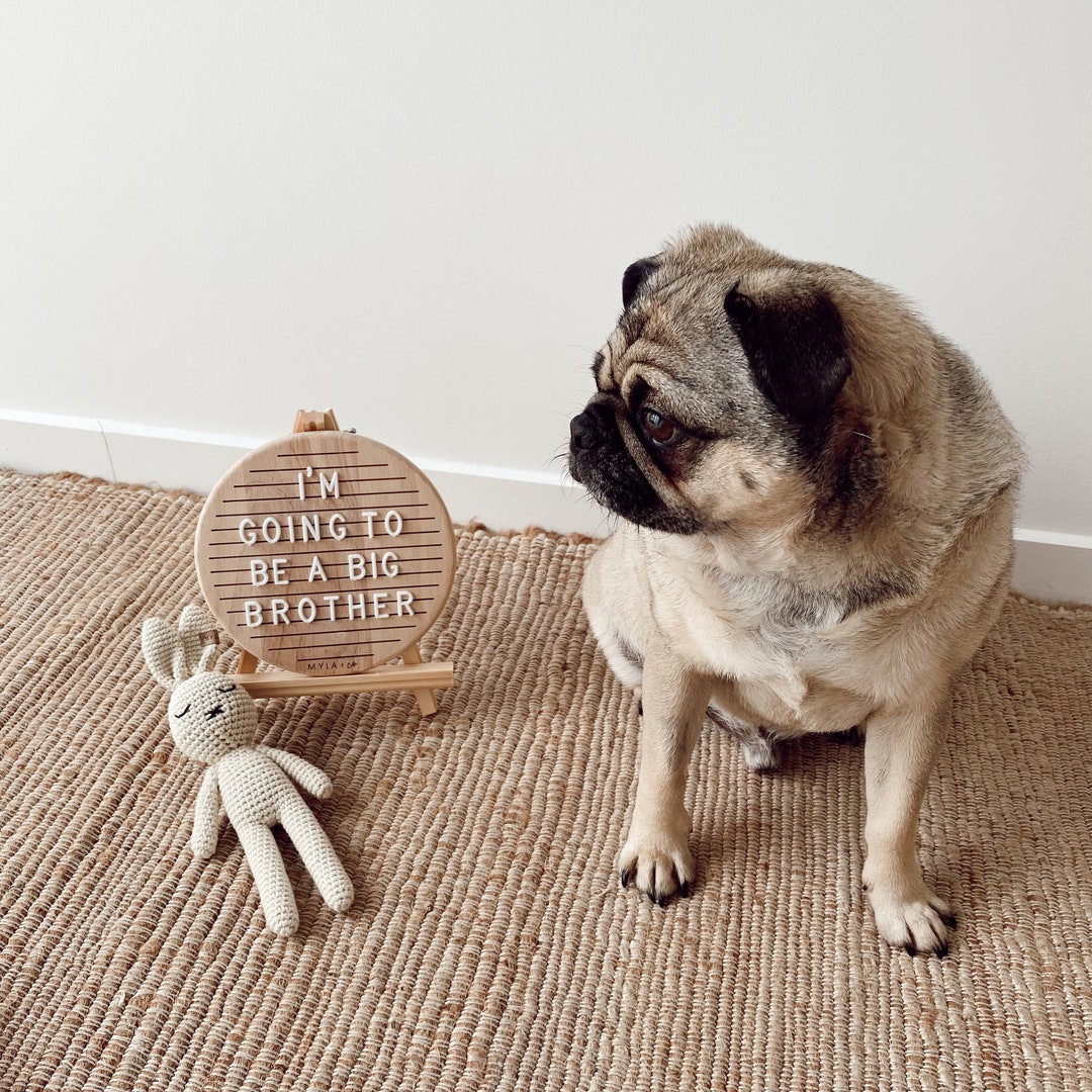 Wooden Milestone Board, Wooden Letter Board, Milestone Letter Board ...