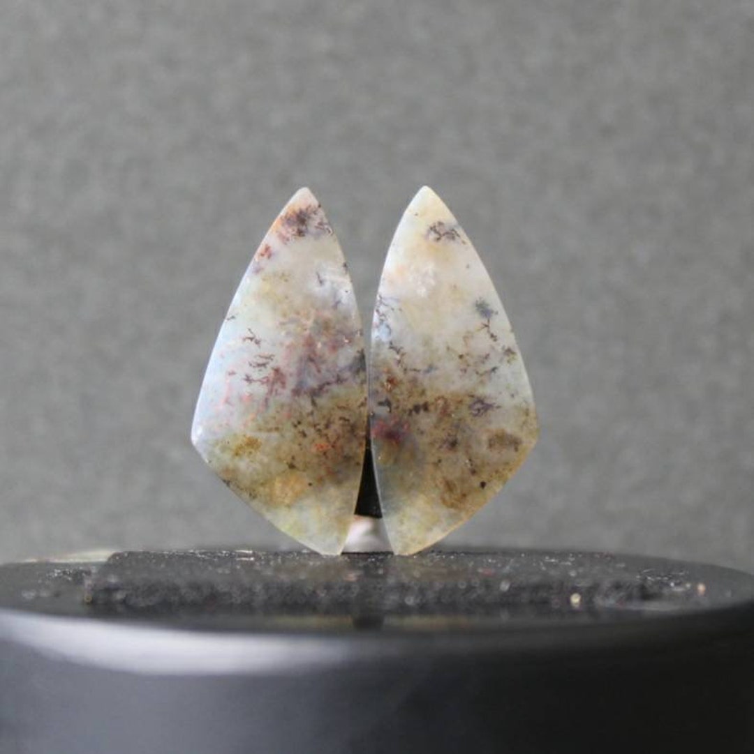 Opalized Wood Agate Pair - Etsy