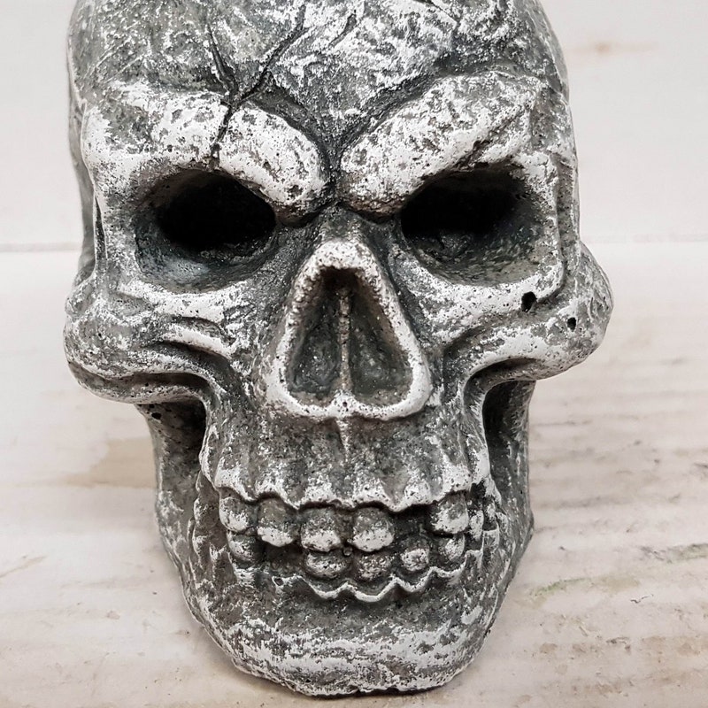 Concrete Skulls - Etsy