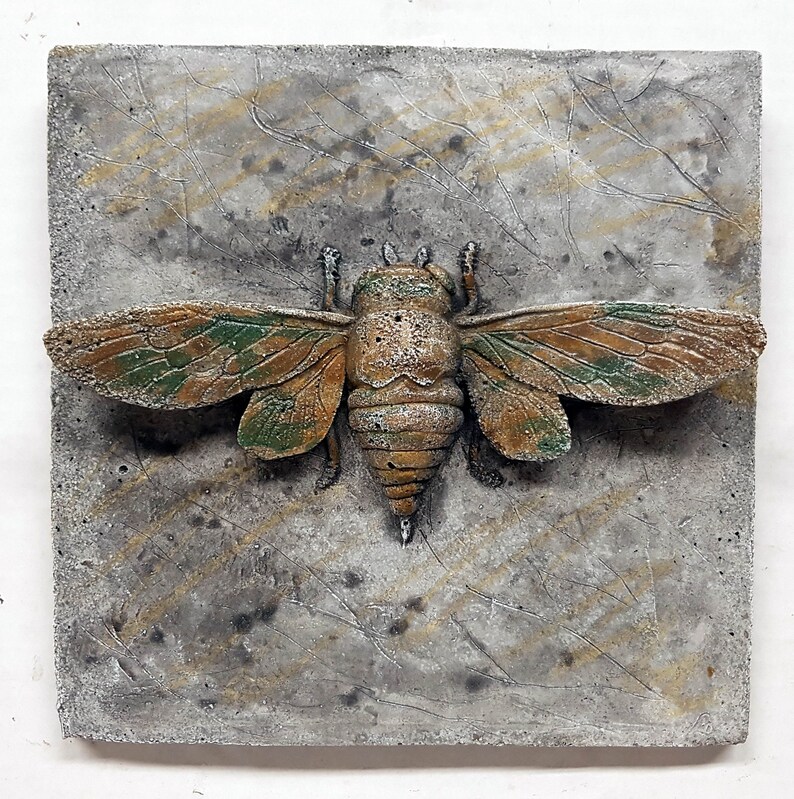 Concrete Bug Plaques, 7 In. (14 Cm),butterfly, Cicada, Lady Bug, Bumble ...