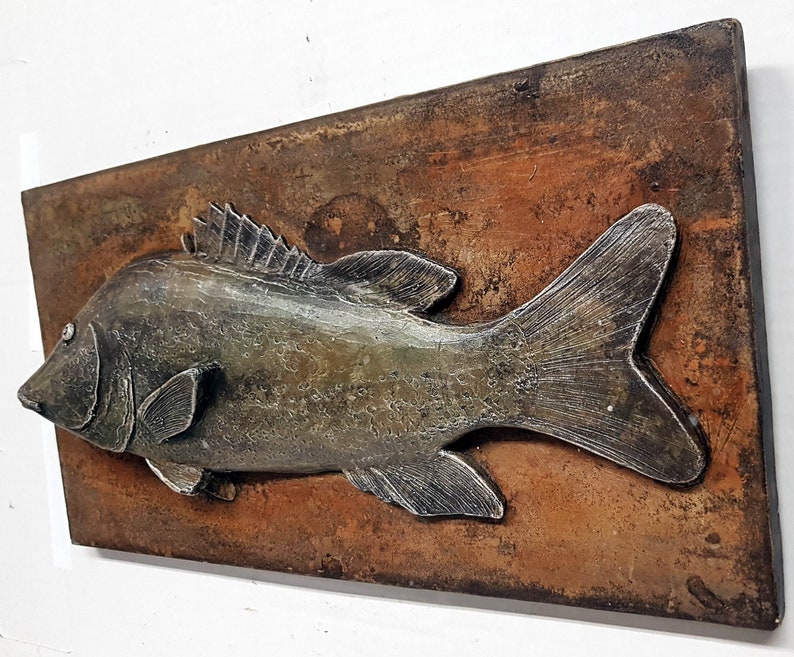 Fish Plaque 14 in. 36 cm 3-D Fish Art Cottage Decor | Etsy