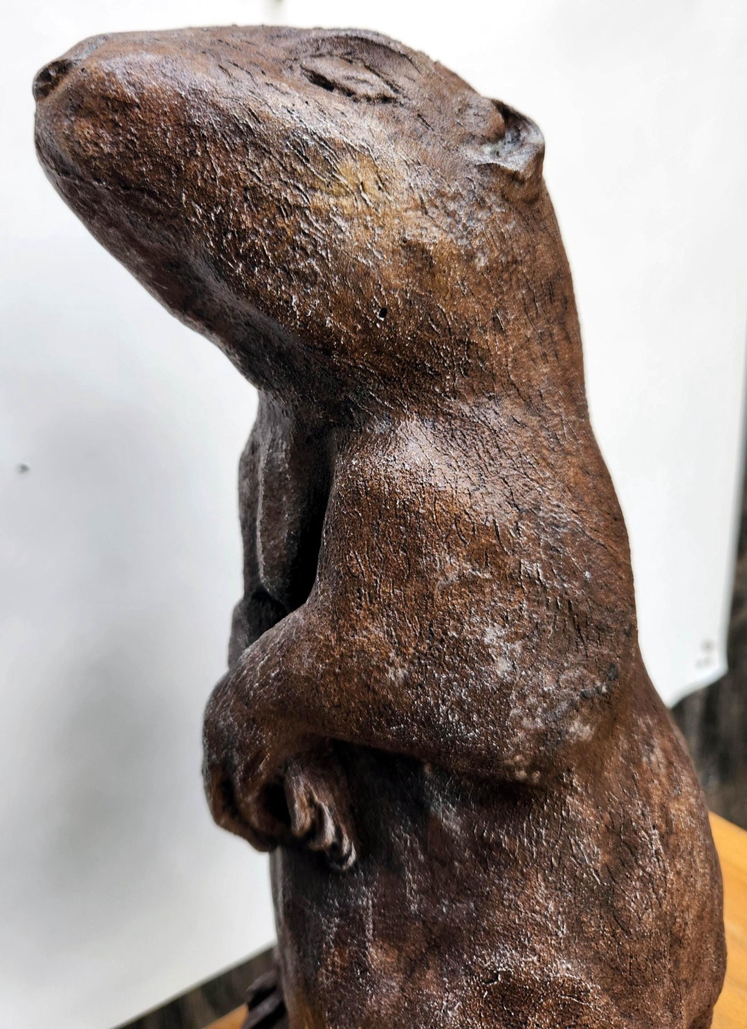 Concrete Groundhog, 12 In., Punxsutawney Phil Statue, Wiarton Willie ...