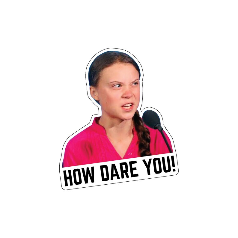 Greta Thunberg How Dare You Bumper Sticker - Etsy Ireland