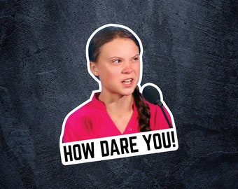 How DARE You Funny 90s DARE Meme Sticker for Laptop, Bottle, Hydroflask ...