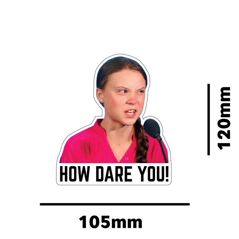 Greta Thunberg How Dare You Bumper Sticker - Etsy Ireland