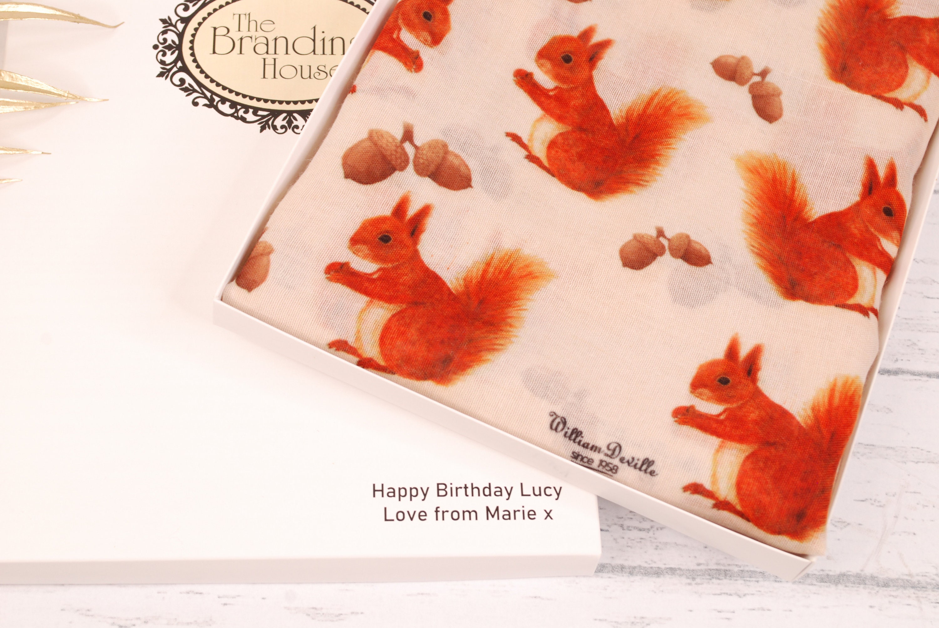 Squirrel print scarf in gift box personalised scarf gifts | Etsy