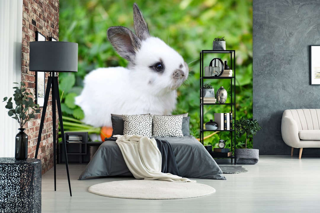 3D Cute Rabbit WGN409 Wallpaper Mural Decal Mural Photo - Etsy