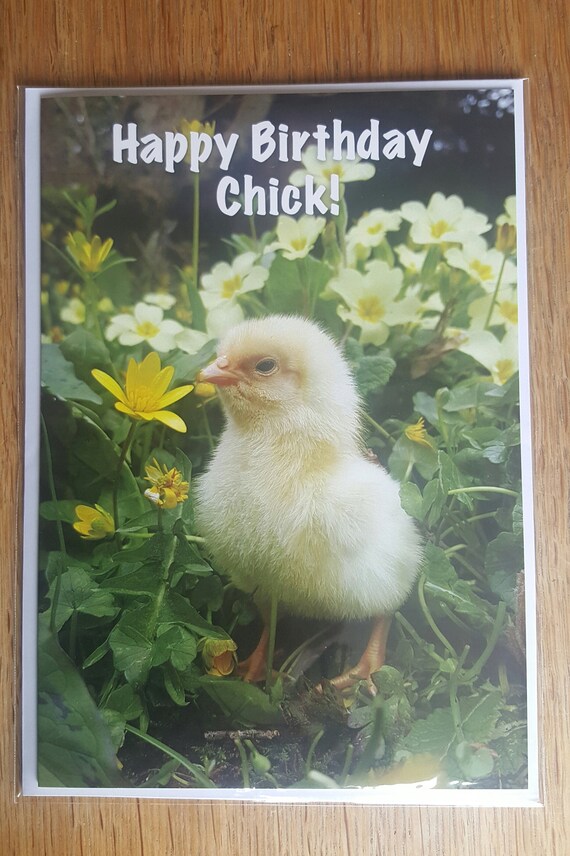 A5 Baby Chick / Chicken Birthday Card | Etsy