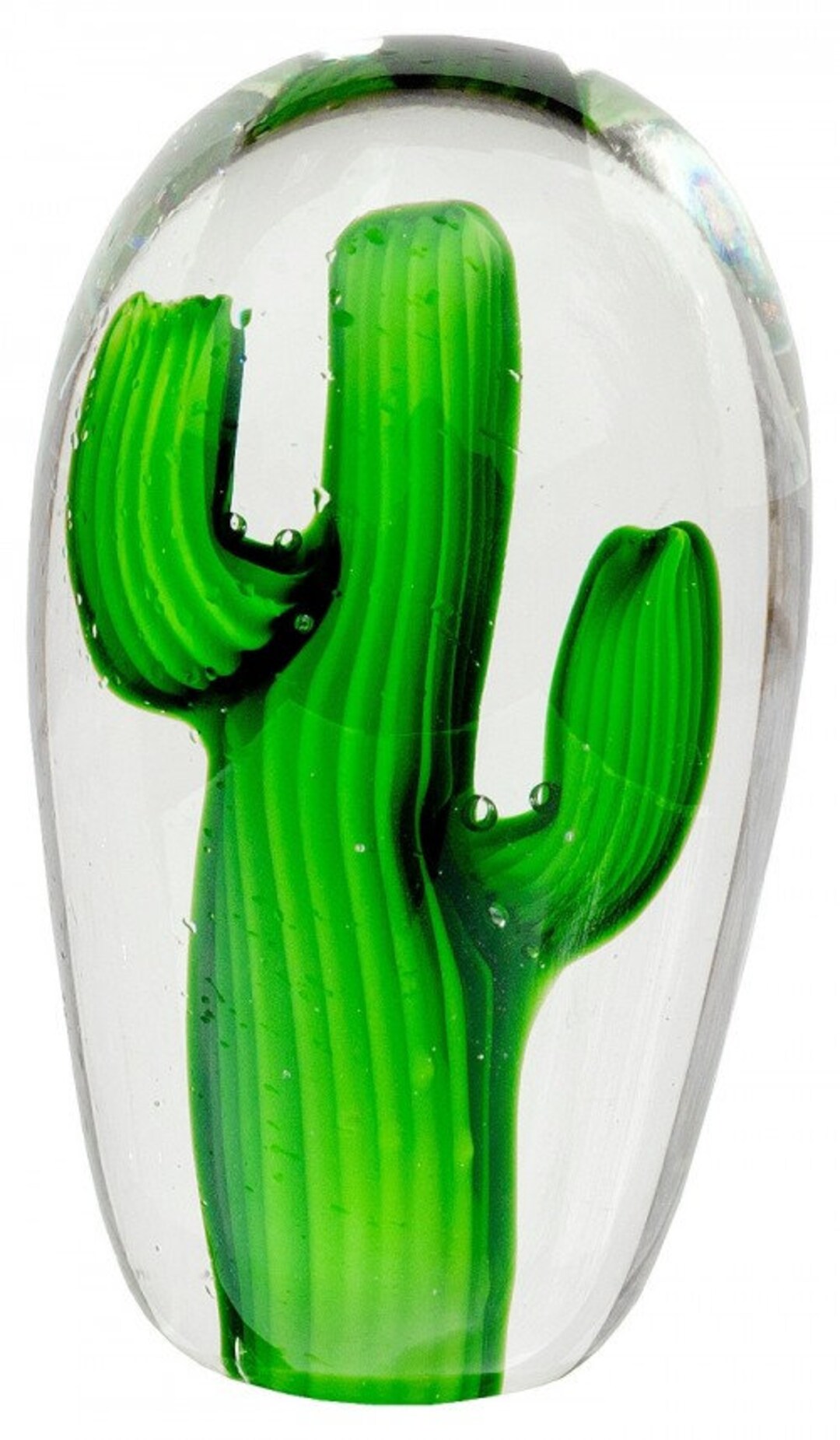 Large Glass Cactus-a Cute Bright Green Cactus Plant Encased in Glass ...