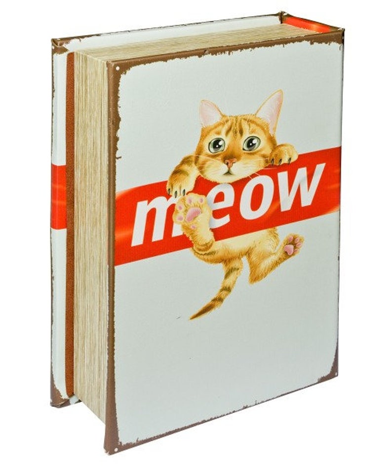 Mirrored Meow Cat Storage Book Box Perfect for Storing Small | Etsy UK
