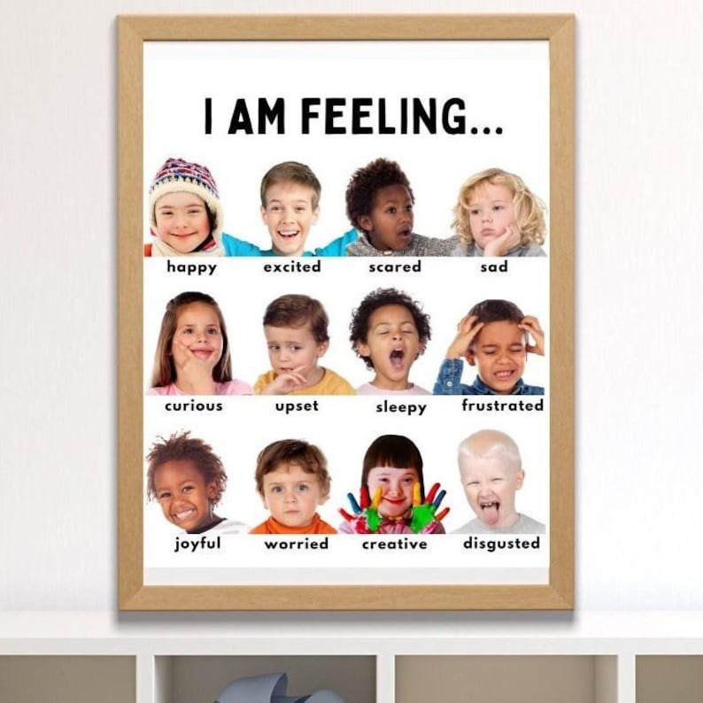 Inclusive Emotions Poster Social Emotional Emotional Intelligence ...