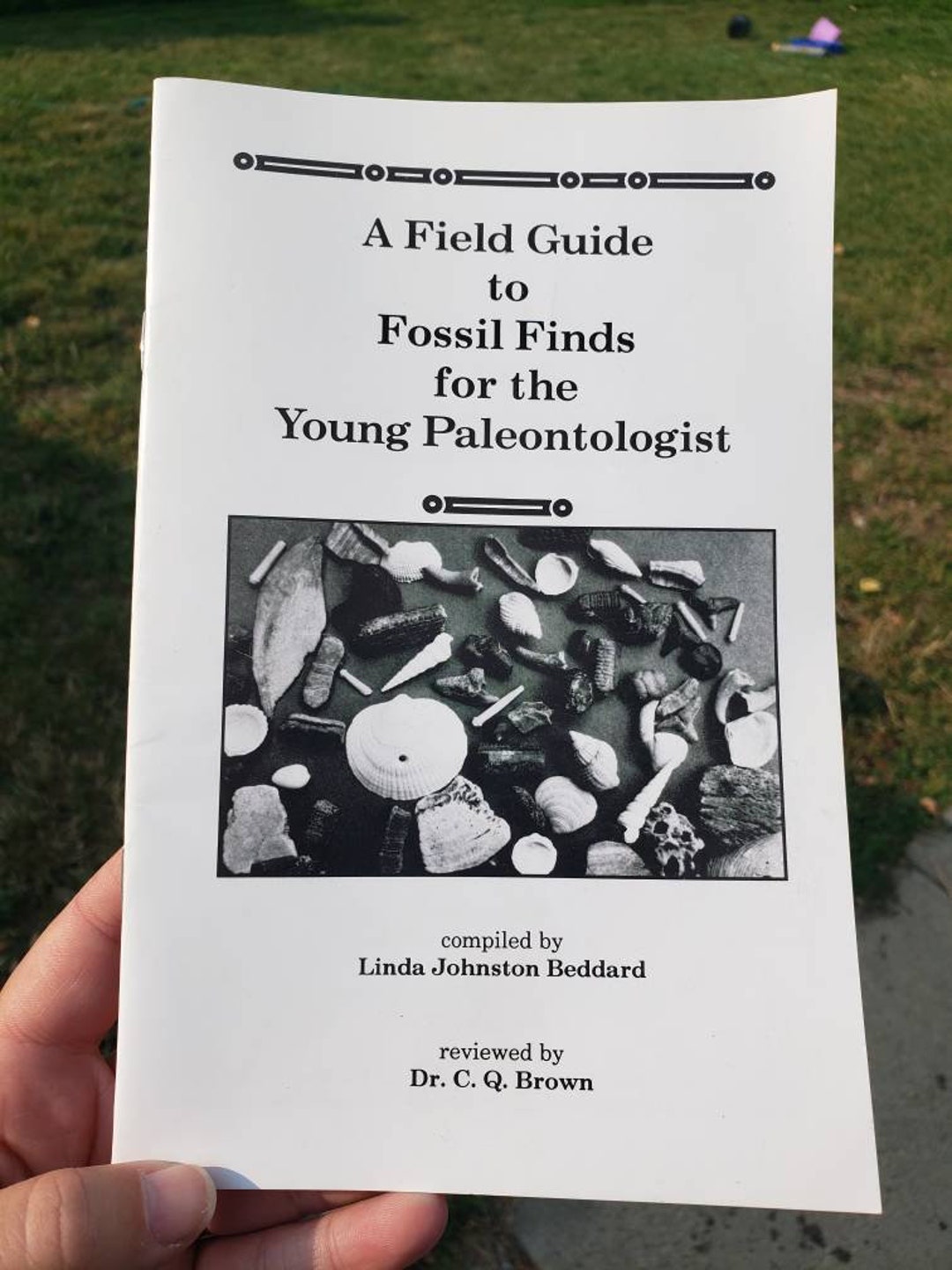 Field Guide Book - Etsy