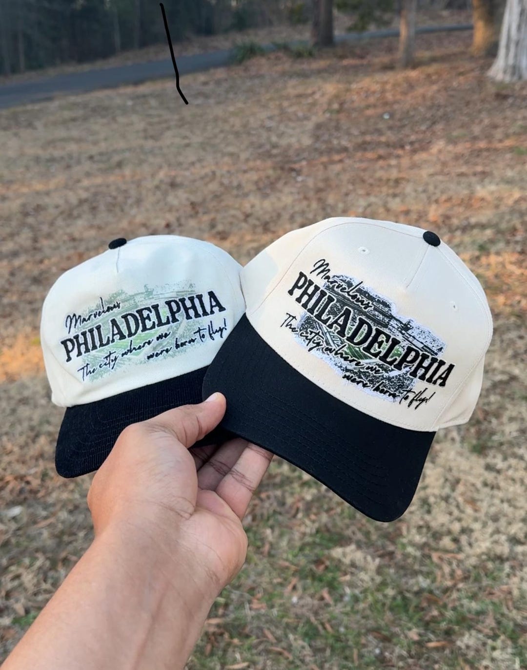 Custom Philadelphia Birds Football Field Hat Eagle Bird Philly - Etsy