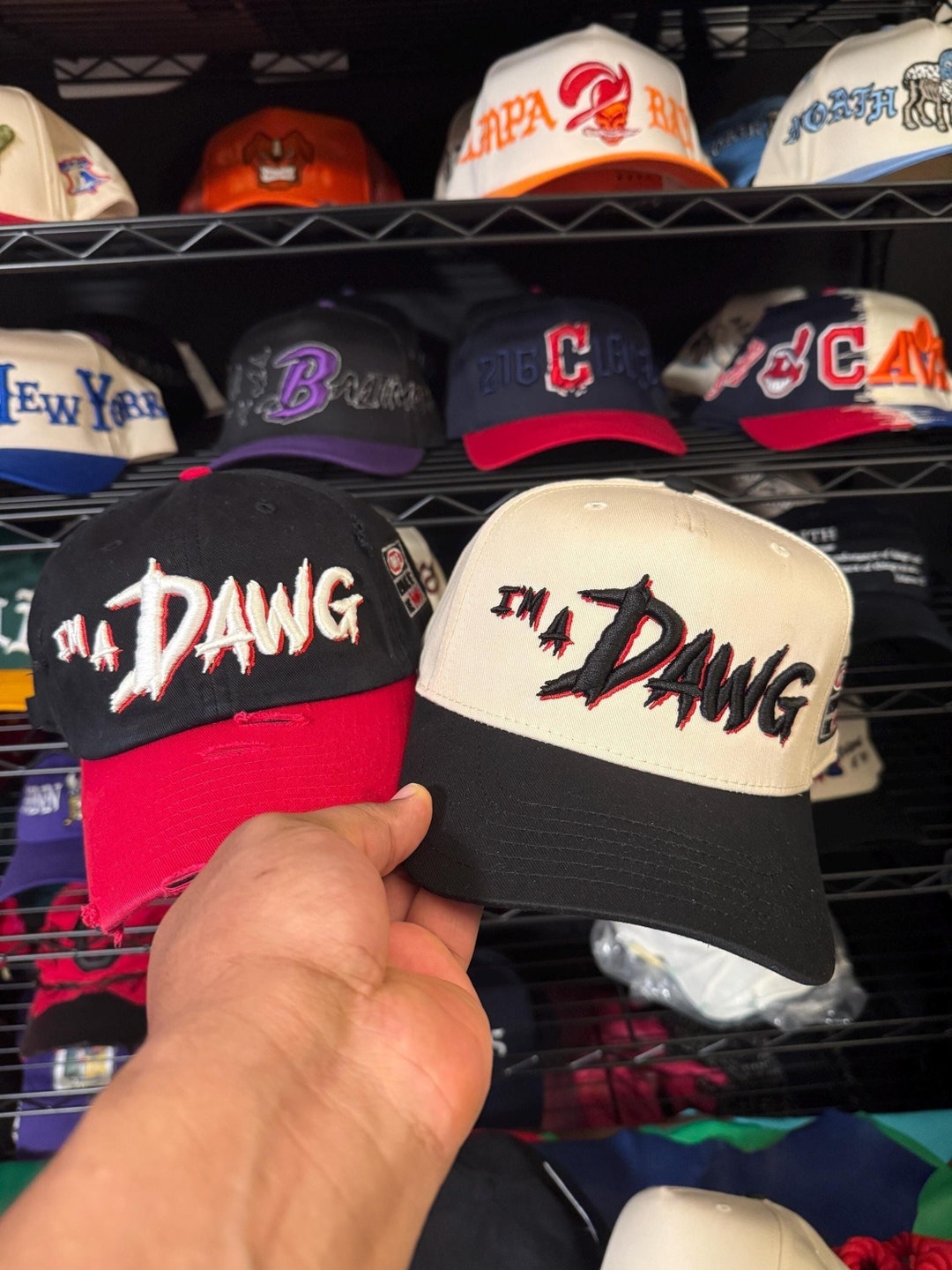 Custom 3D Embroidered I'm A Dawg Hat GA - Etsy